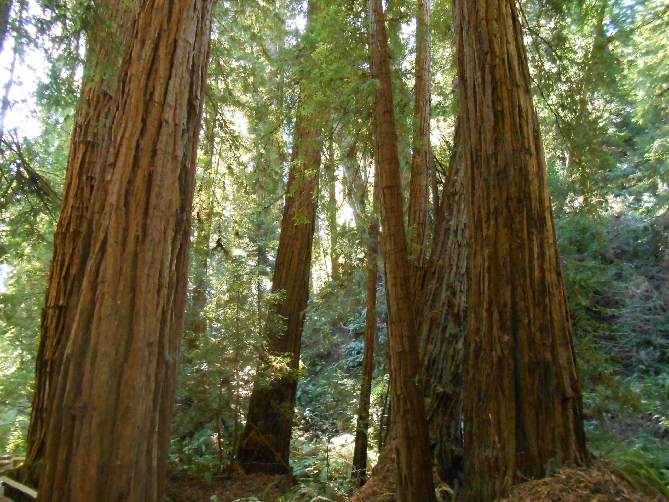 3 Updated Awakening Posts to Check Out – Spiritual Awakening Process